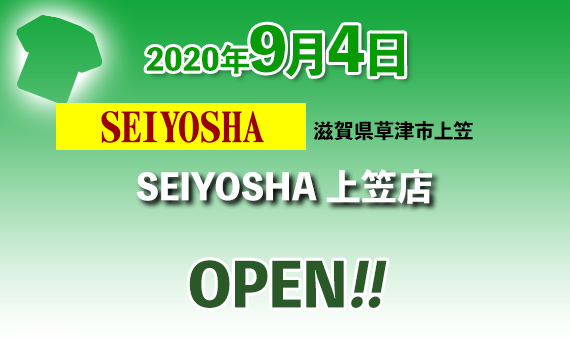 Slide Anything Popup Preview